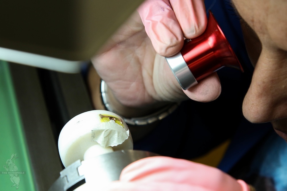 Arnold & Son UTTE (Palladium) | The Horophile